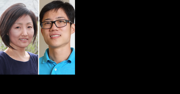 Lee and Zhu awarded National Science Foundation funding | Department of ...